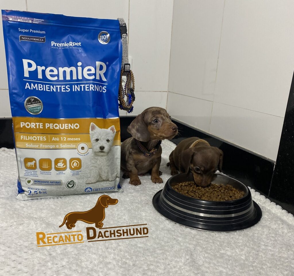 Alimentação - Premier - Fórmula Natural - Fazendinha Dachshund